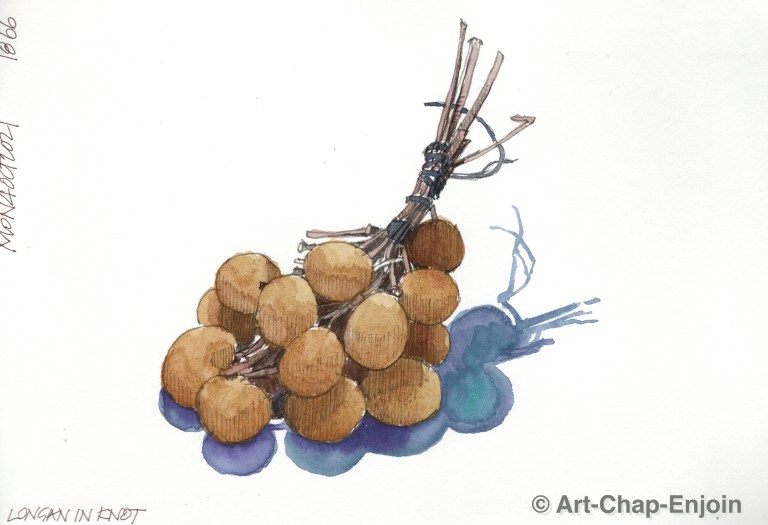 1866 – Longan in knot – Art-Chap-Enjoin